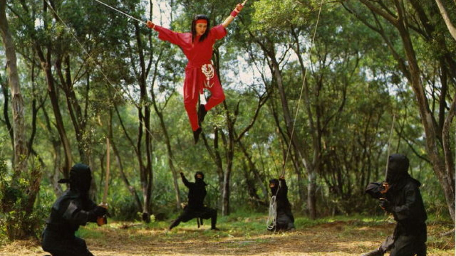 30 Best Ninja Movies Of All Time (RANKED) - Rob Base